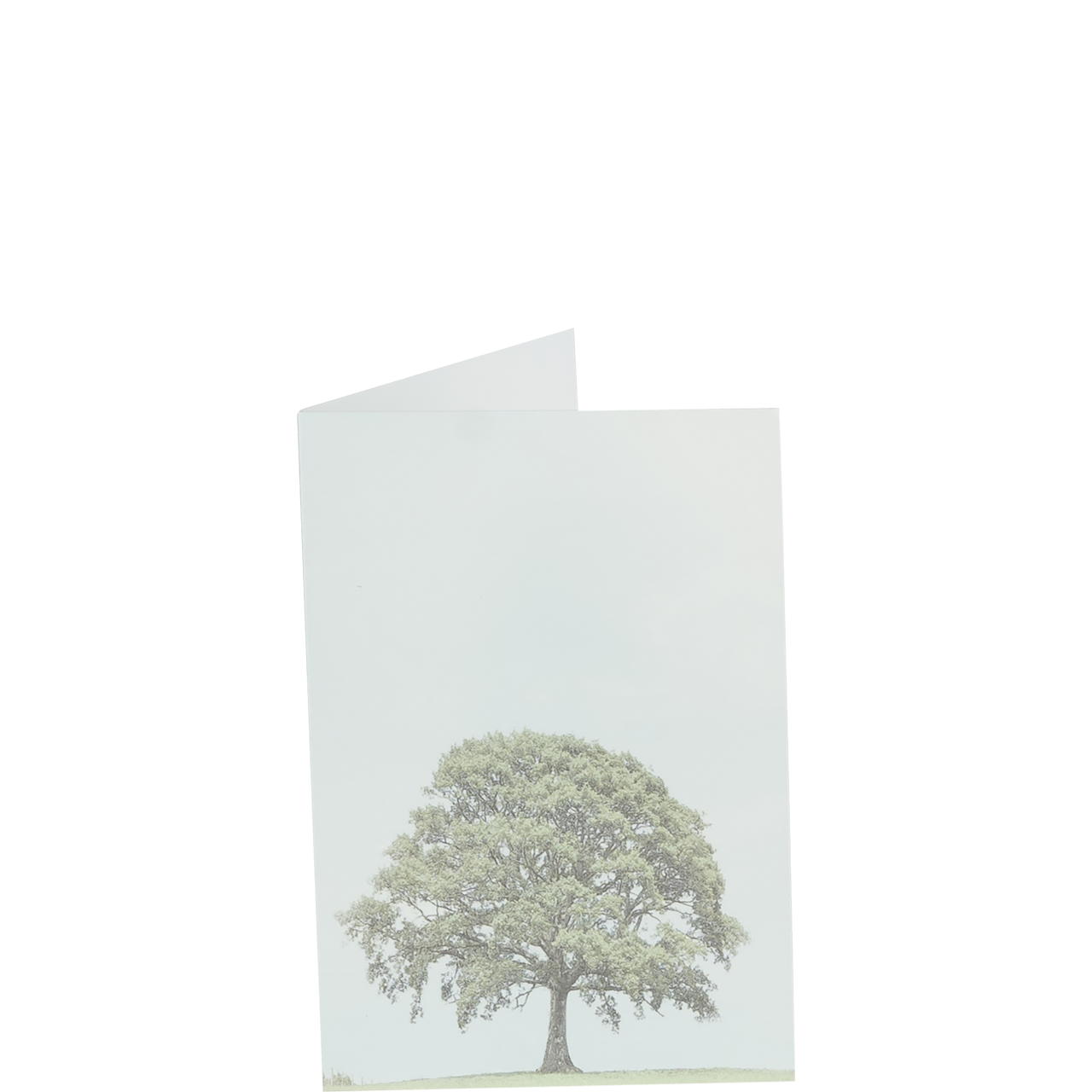 Trauerbild doppelt "Baum" | Trauerbilder (Klappzettel) | Amco Sortiment ...